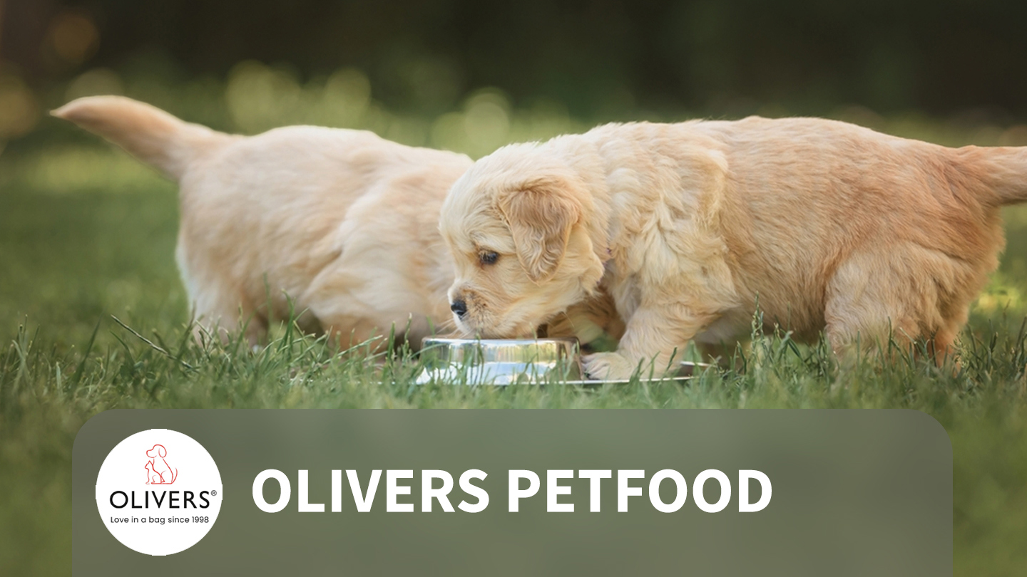 OiSTER Bonus - optjen point og spar penge